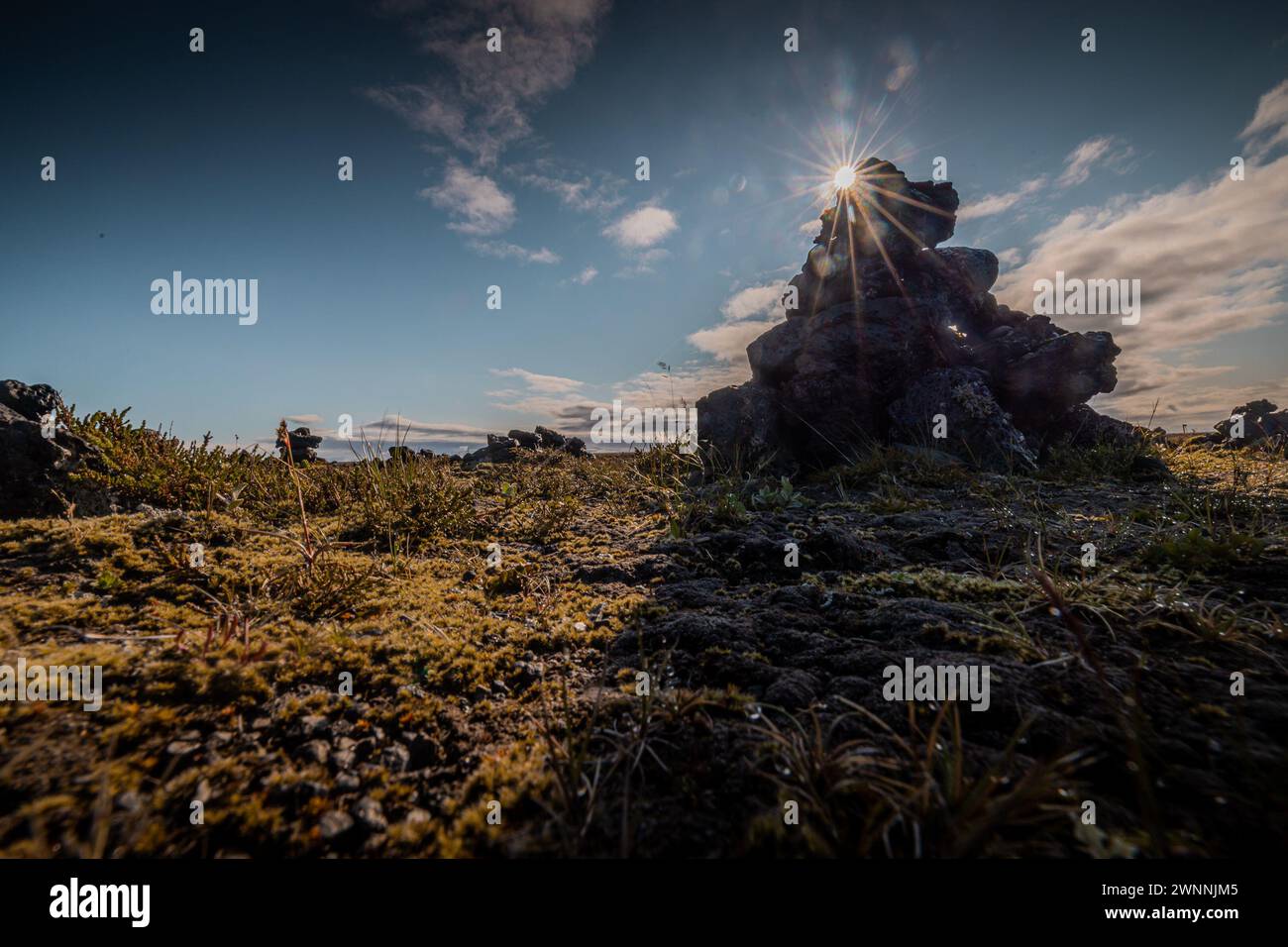 Lava fields on iceland, with magma pillars standing out from the grass ...