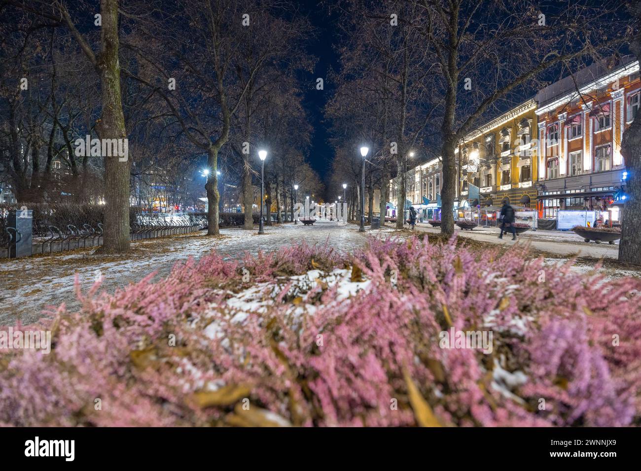 Avenue in Oslo on Karl Johans street during night in winter, with icy ...