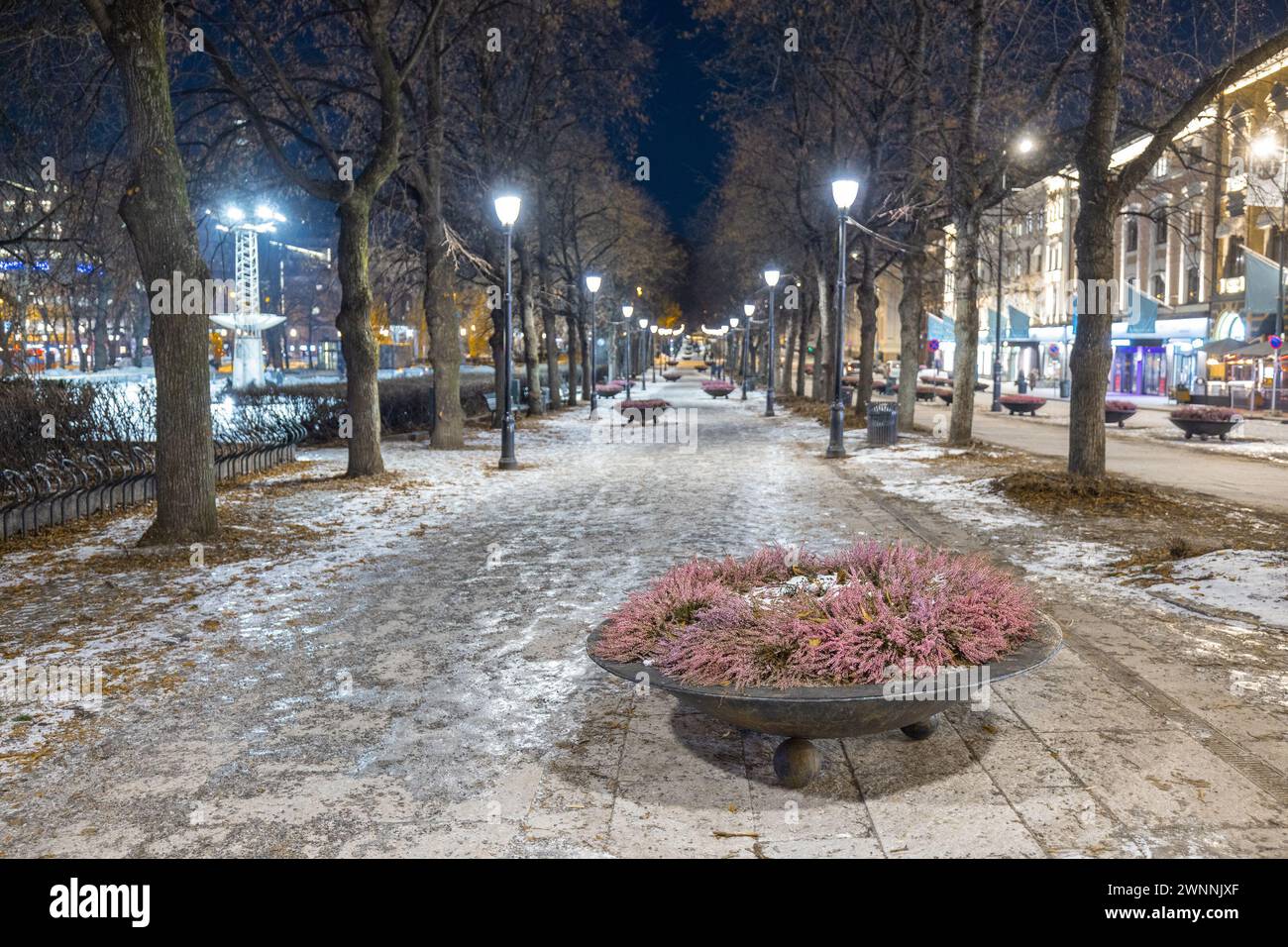 Avenue in Oslo on Karl Johans street during night in winter, with icy ...