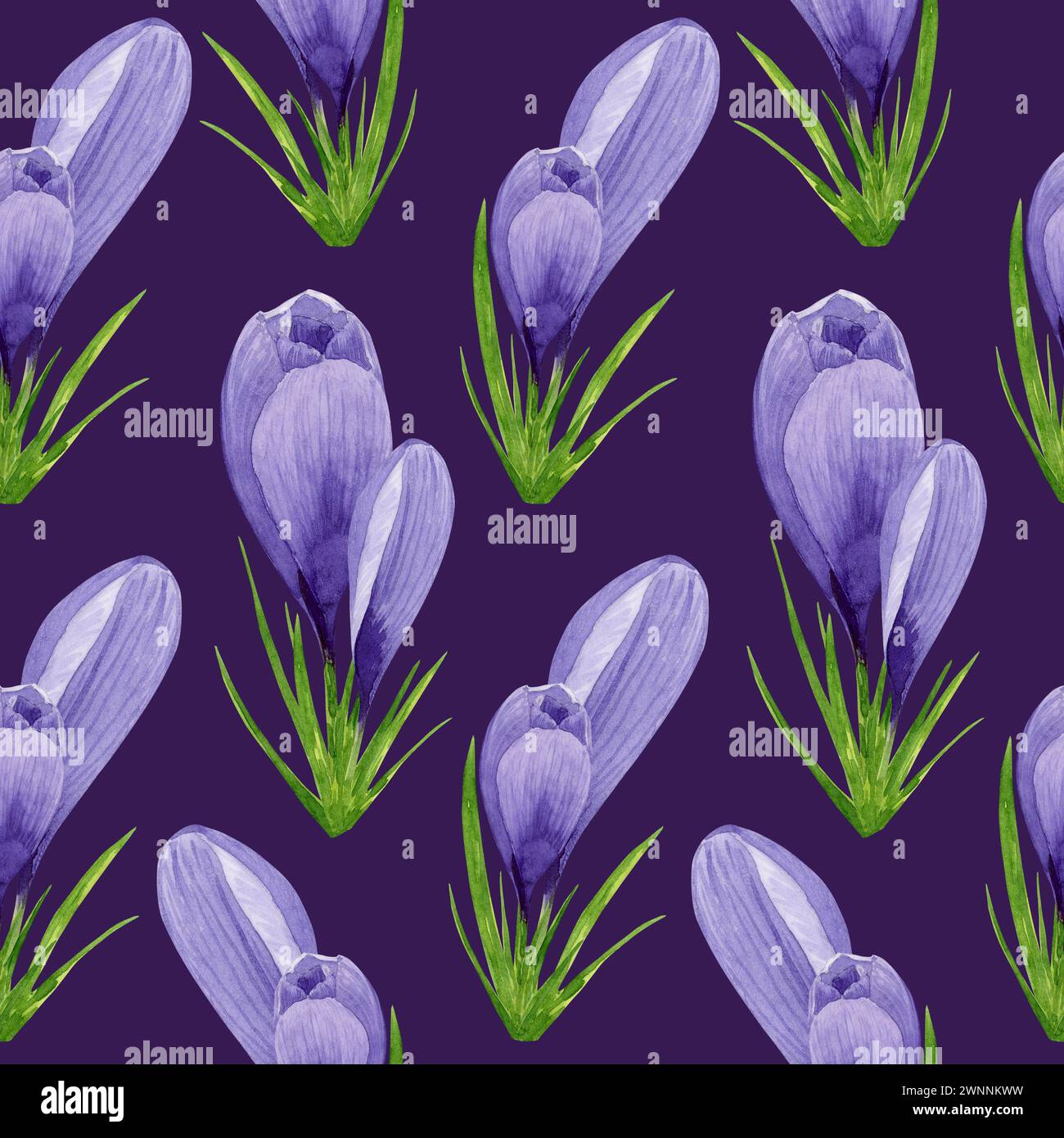 Watercolor spring crocuses seamless pattern, spring flower digital ...
