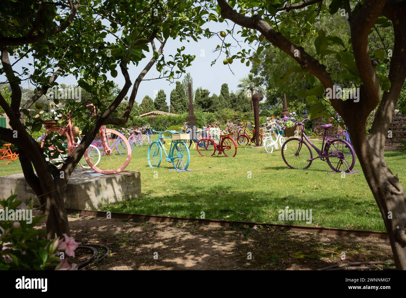 Colorful Bikes as Art Stock Photo - Alamy