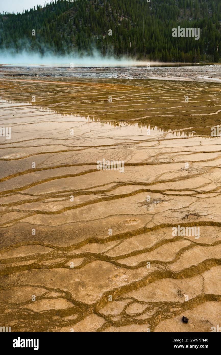 Brown layered stratiform mats at the outer perimeter of the Grand ...