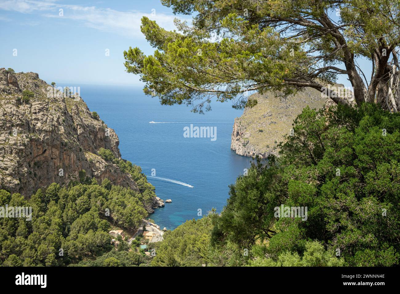 Cove in Mallorca Stock Photo - Alamy