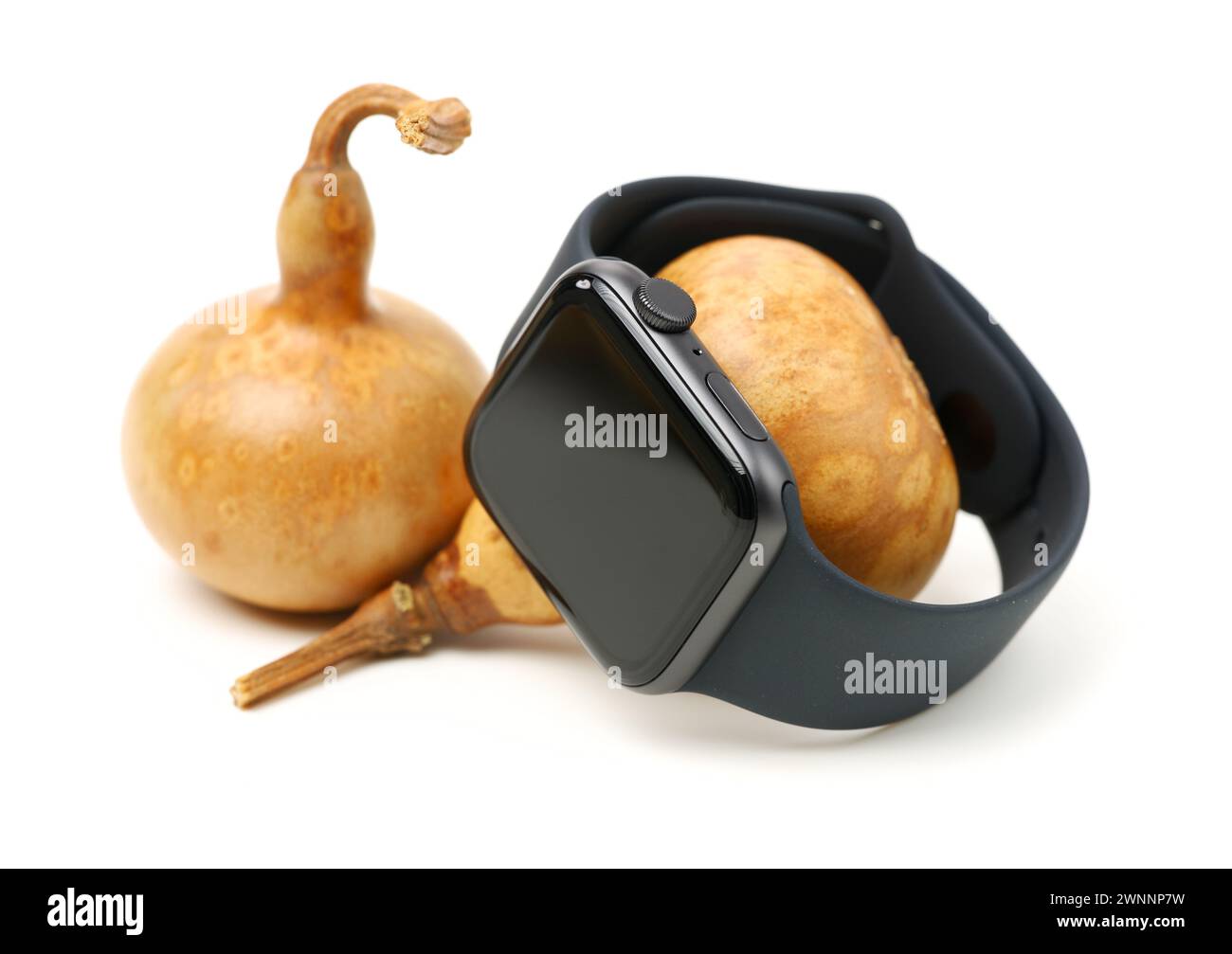 Calabash isolated on white background Stock Photo - Alamy