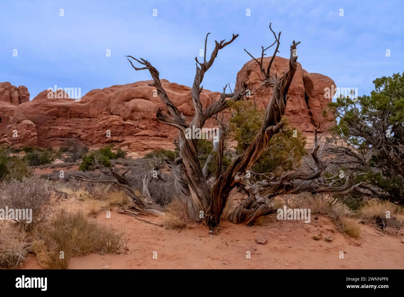 Moab, Ut, USA. 5th Nov, 2023. Utah's mesmerizing rock formations ...