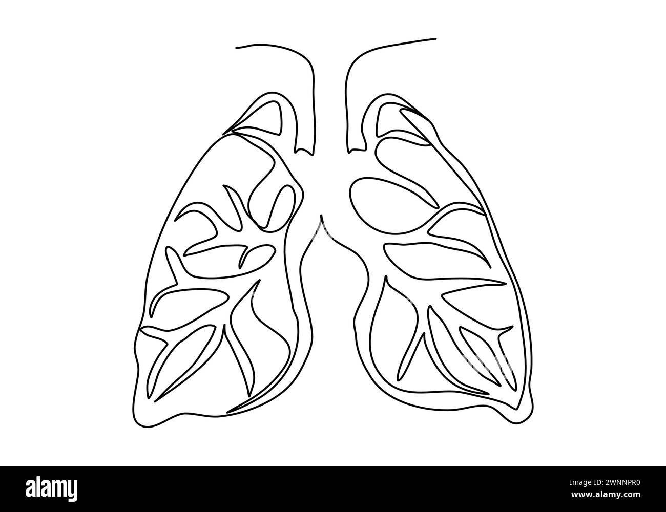 Lungs, one line drawing vector illustration Stock Vector Image & Art ...