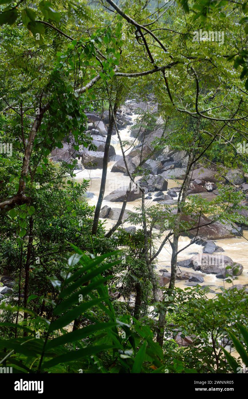 Sinharaja Forest Reserve, Srí Lanka, Asia, UNESCO World Heritage Site ...