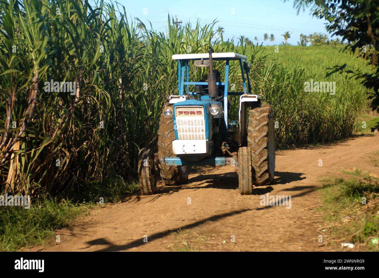 Tractor at work, Sugar Cane Farm, near Cadiz City, Negros Occidental ...