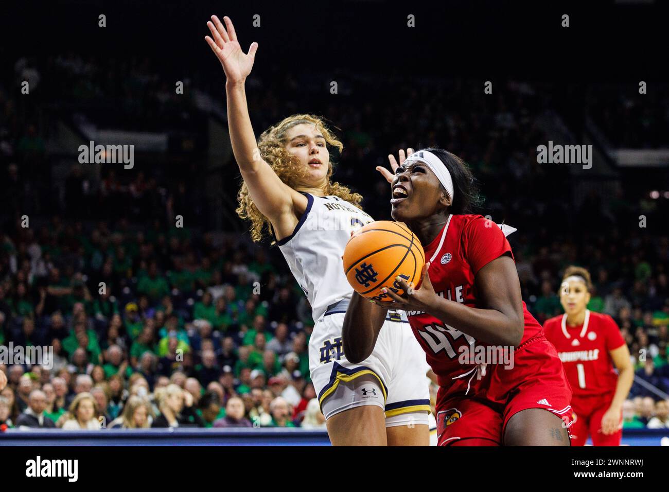 March 03, 2024: Louisville forward Oli Cochran (44) goes up for a shot as Notre Dame forward ...