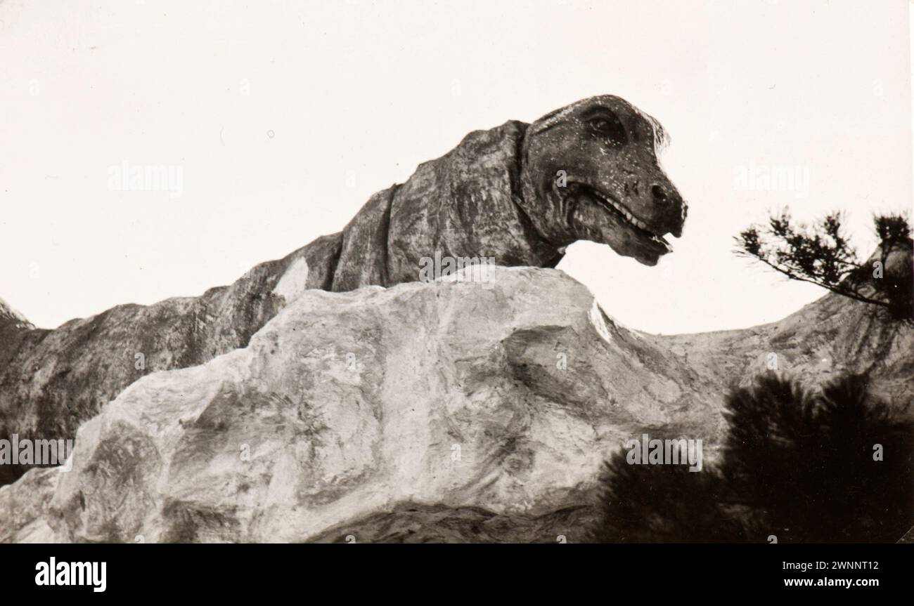 Photo taken from the album of an italian Jewish family (Jarach ...