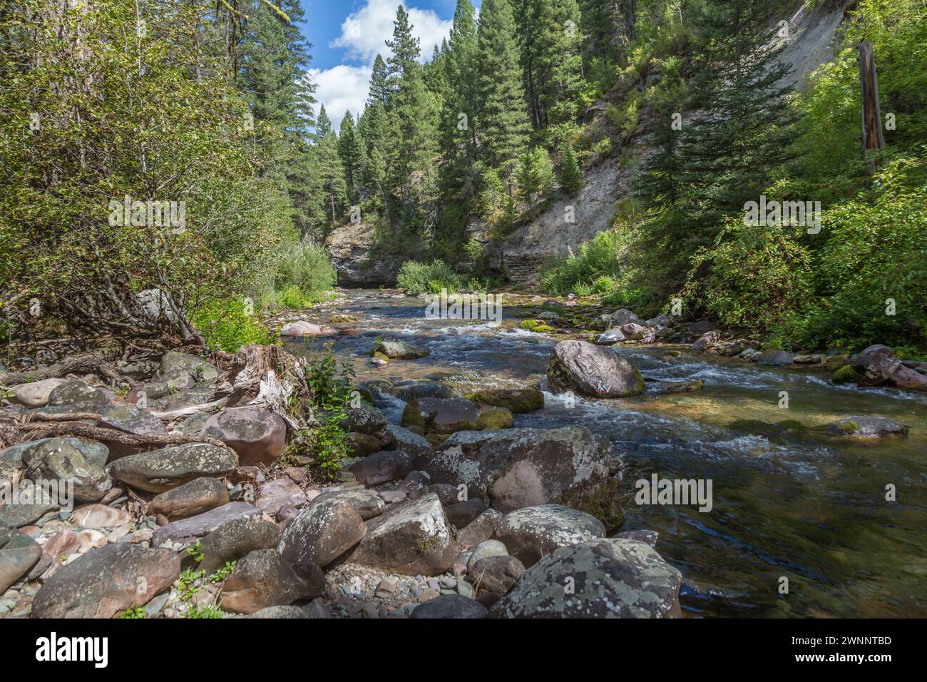 Crystal clear water of Rattlesnake Creek winds through the Lolo ...