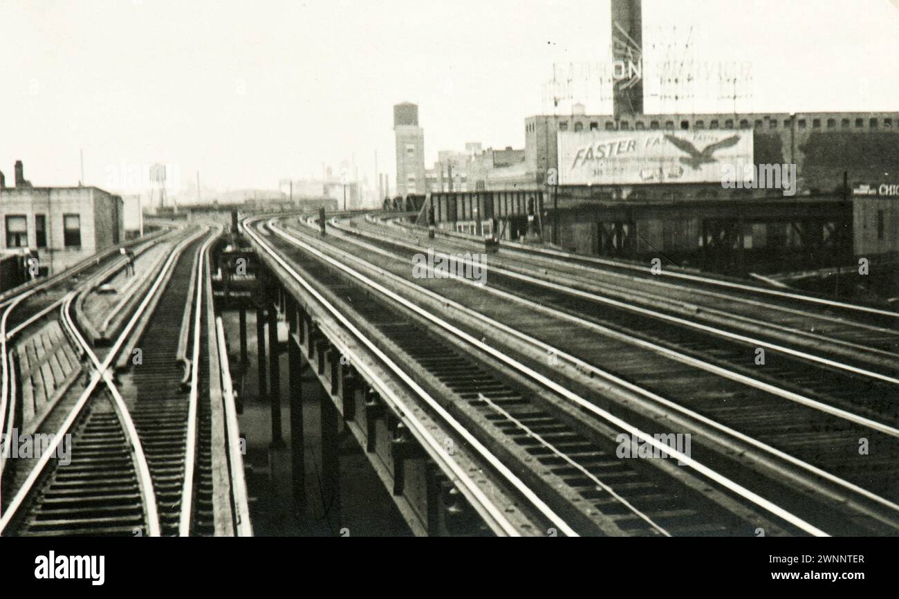 Photo taken from the album of an italian Jewish family (Jarach ...