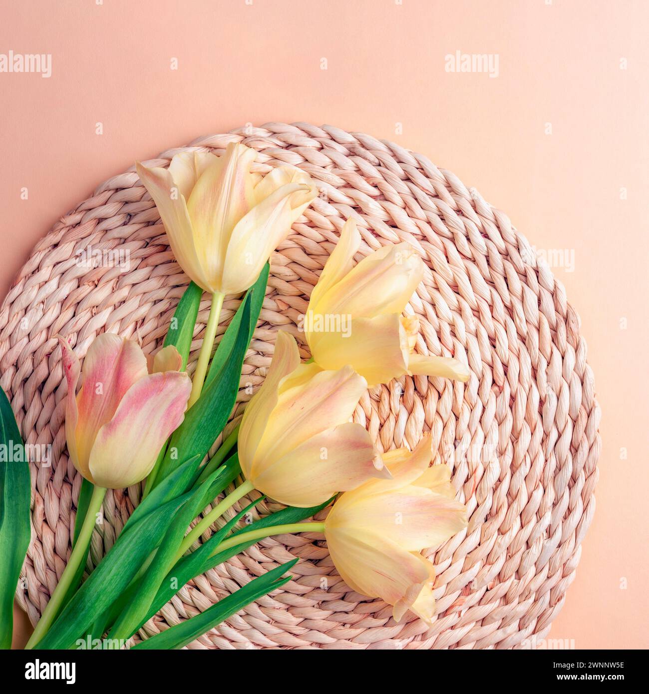 Yellow-pink tulip flowers on wicker place mat on peachy background ...