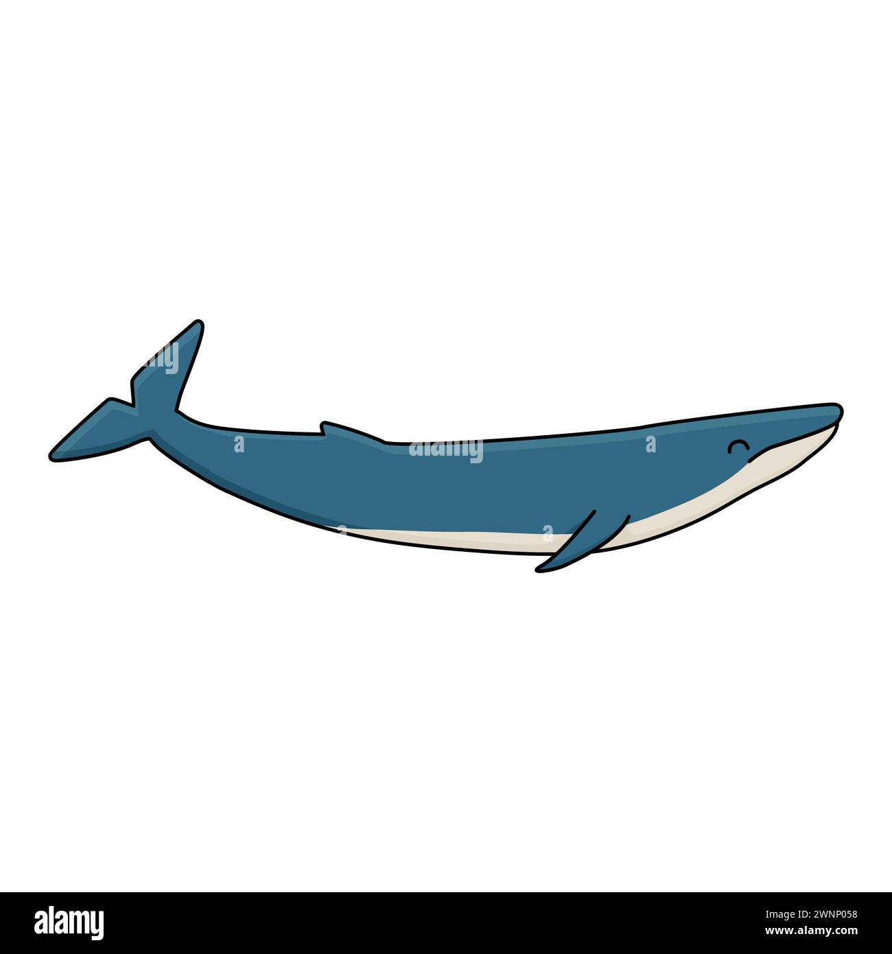 Blue whale. Vector hand drawn cartoon childish isolated illustration on ...
