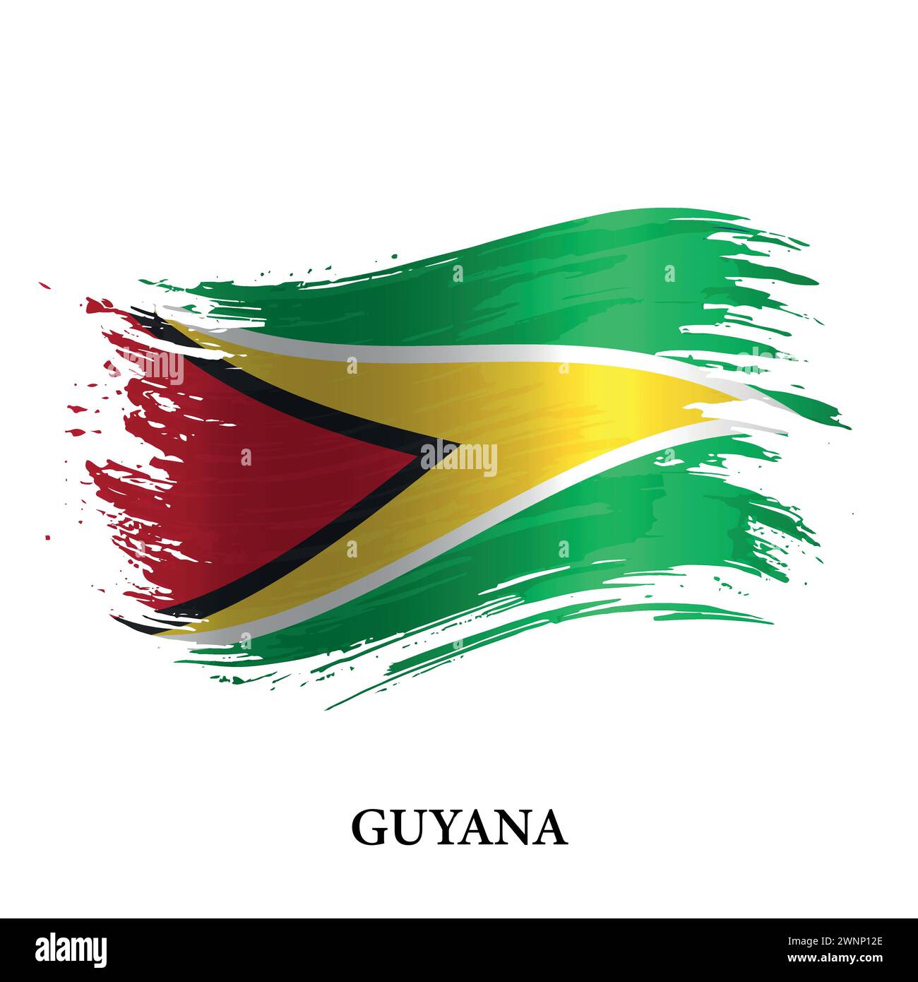 Grunge flag of Guyana, brush stroke vector background Stock Vector ...