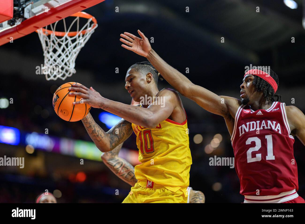 College Park, MD, USA. 03rd Mar, 2024. Maryland Terrapins forward ...