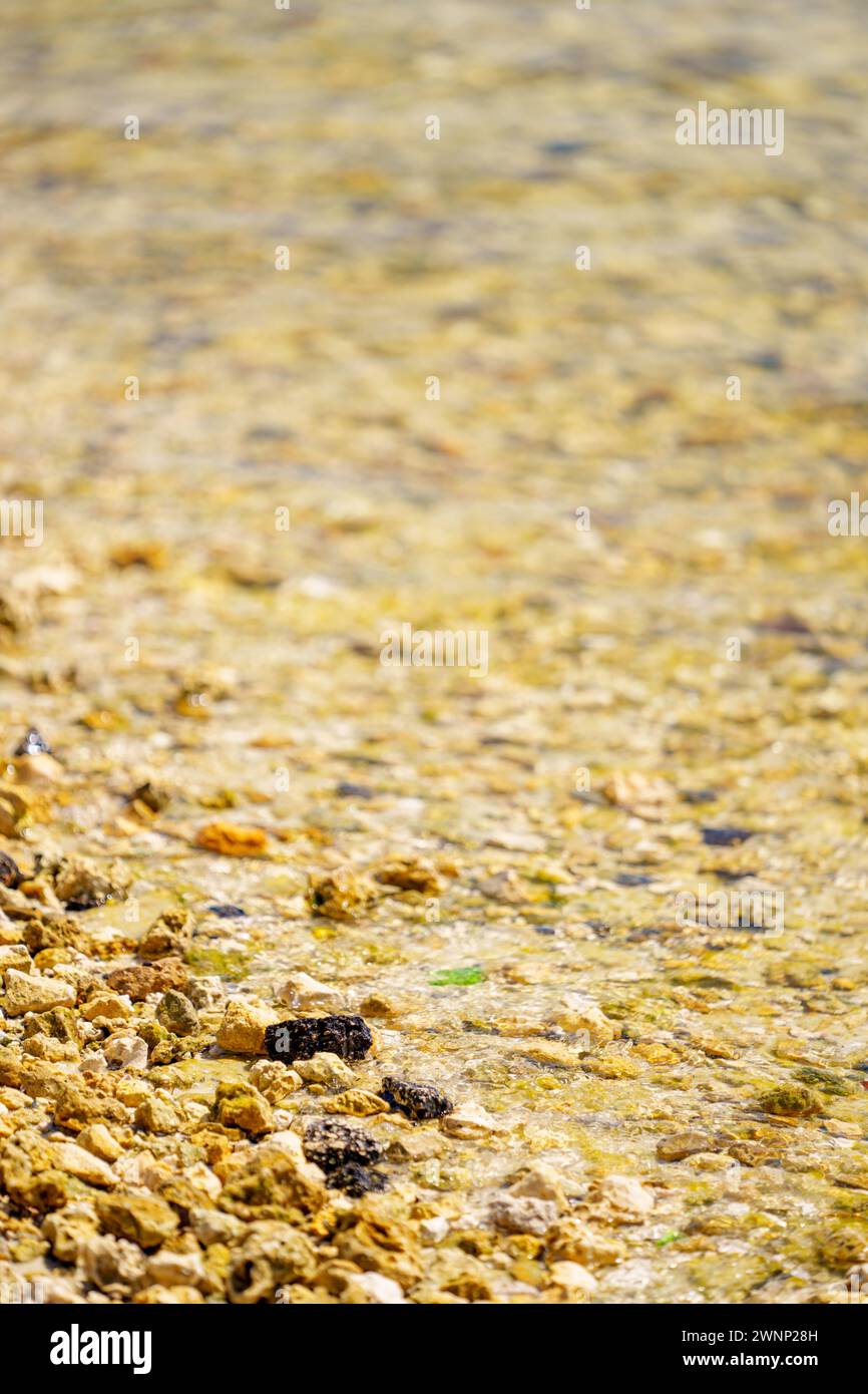 Shallow rock hi-res stock photography and images - Alamy