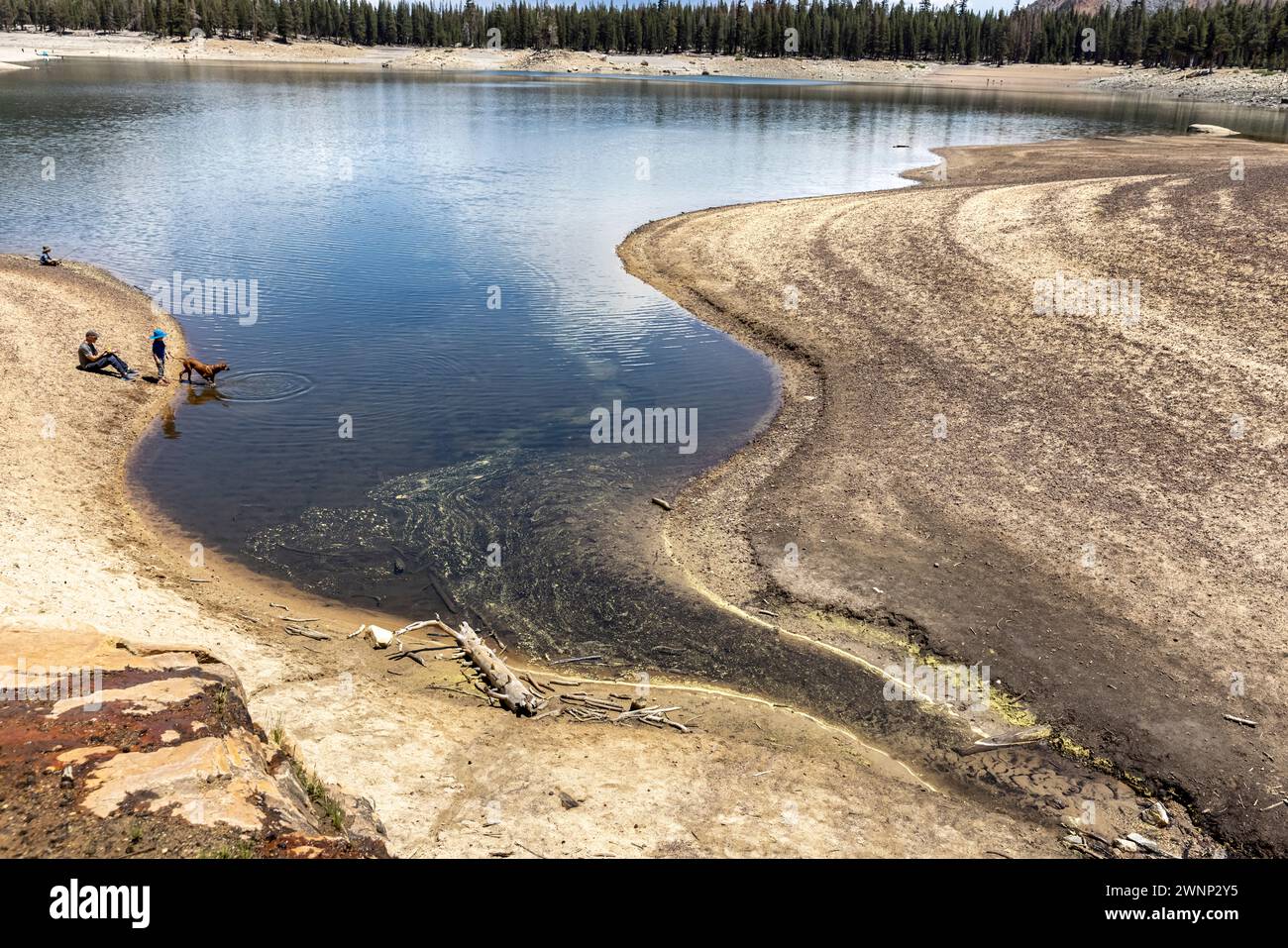 The drought enlarged shoreline at Horseshoe Lake which was at ...