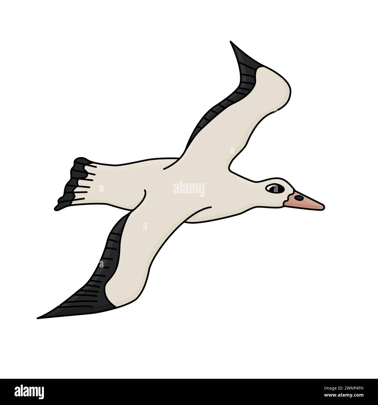 Albatross seabird. Vector cartoon hand drawn isolated illustration of ...