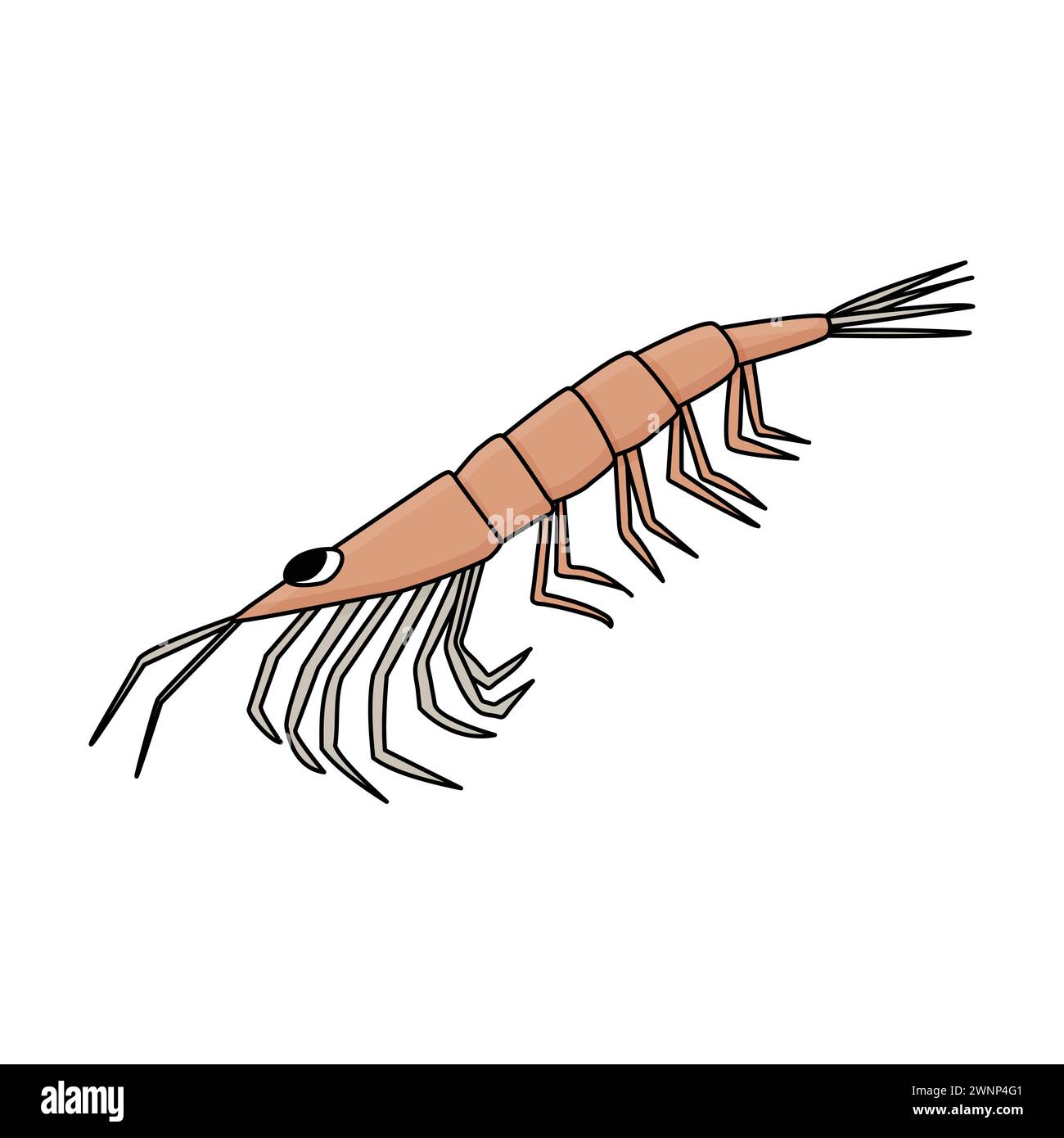 Antarctic krill. Hand drawn outline sketch cartoon animal of Antarctica ...