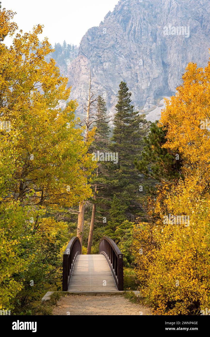 Fall colors frame a bridge over the Twin Lakes in Mammoth Stock Photo ...