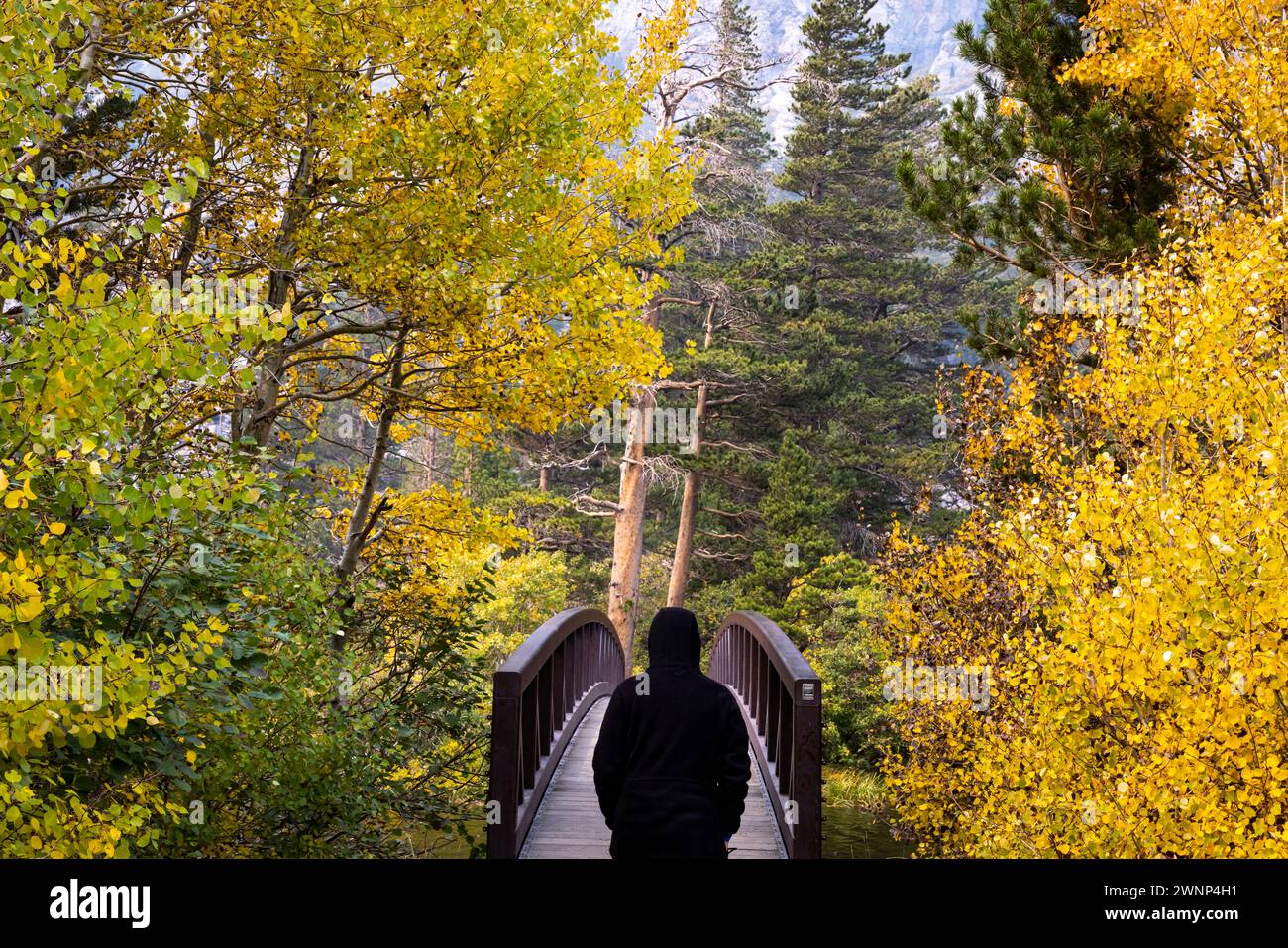 Fall colors frame a bridge over the Twin Lakes in Mammoth Stock Photo ...