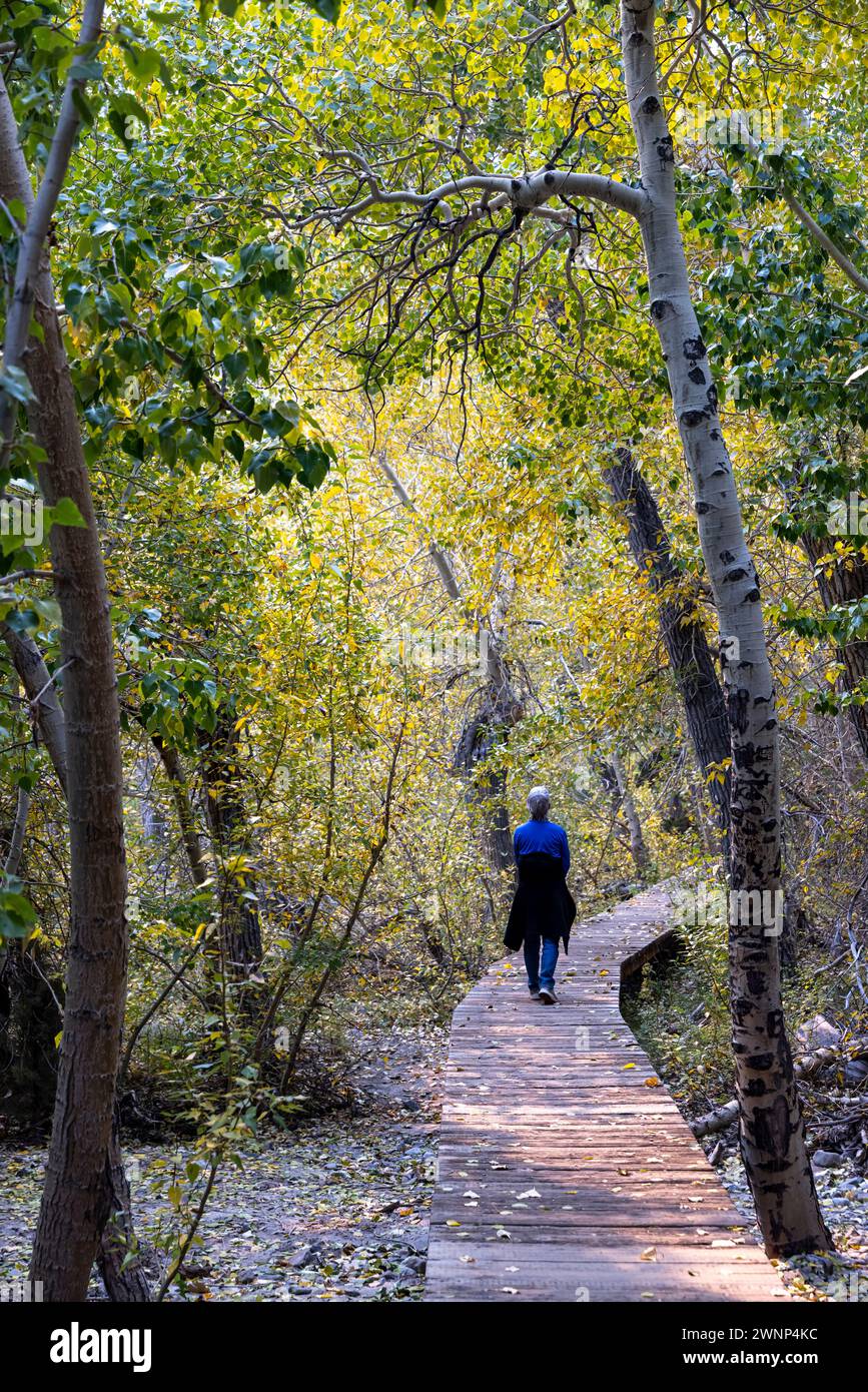 Convict Lake near Mammoth draws visitors during the fall for the Aspens ...
