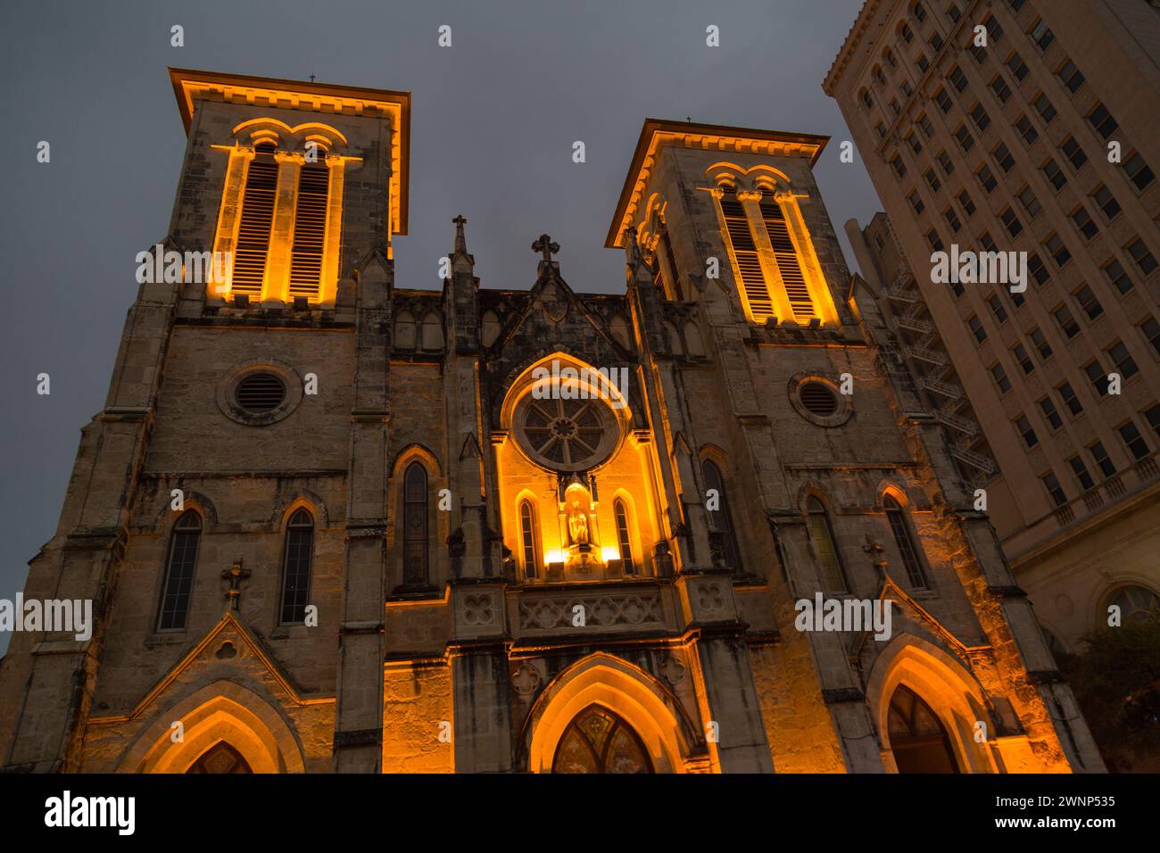 San Fernando Cathedral of the Catholic Church illuminated at night in ...