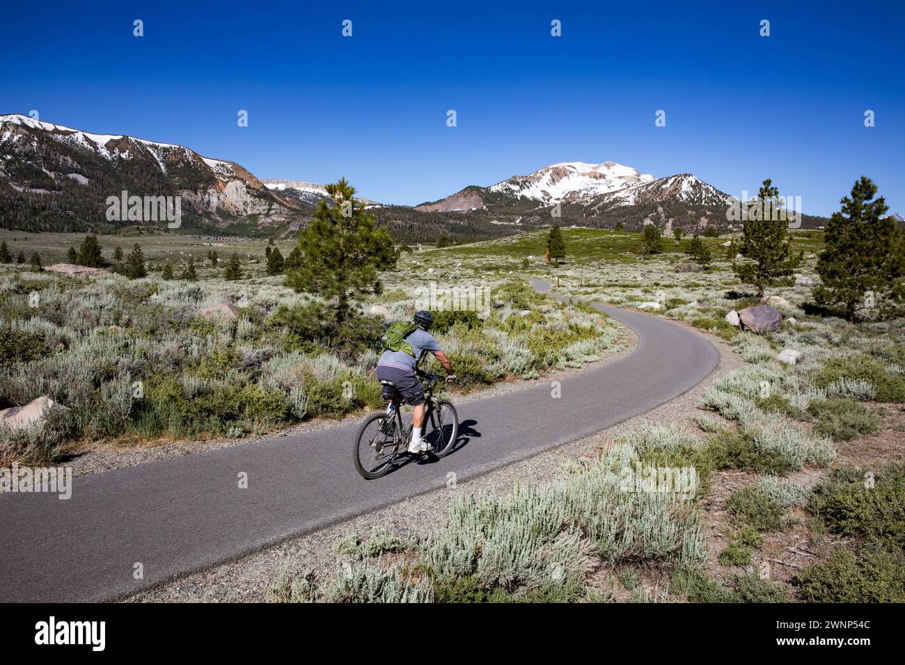 The Mammoth Lakes Town Loop bike and hiking path is the perfect place ...