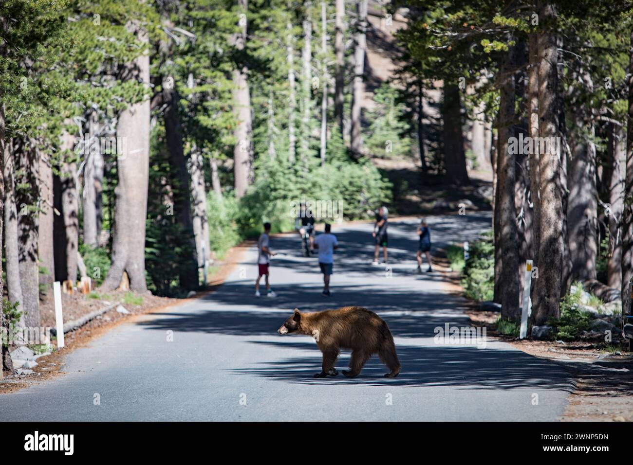 Summer in and around the town of Mammoth Lakes, CA in the Eastern ...