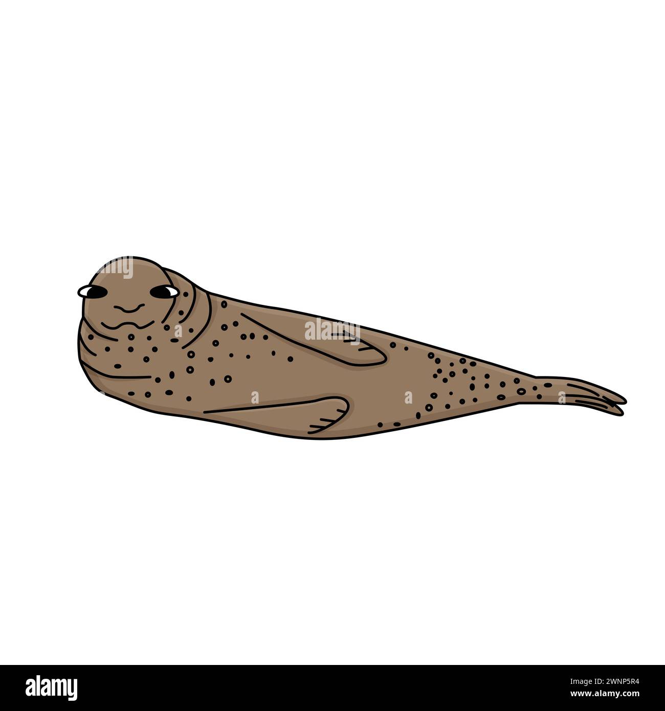 Leopard seal. Vector hand drawn cartoon illustration of arctic animal ...
