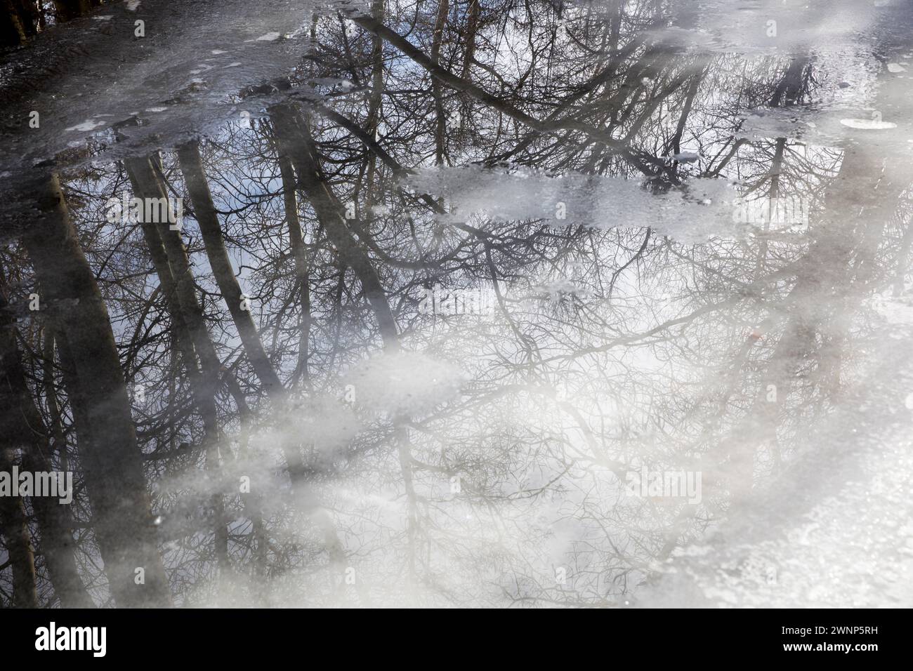 Walking the Mammoth Lakes Town Loop trail during winter which traverses ...