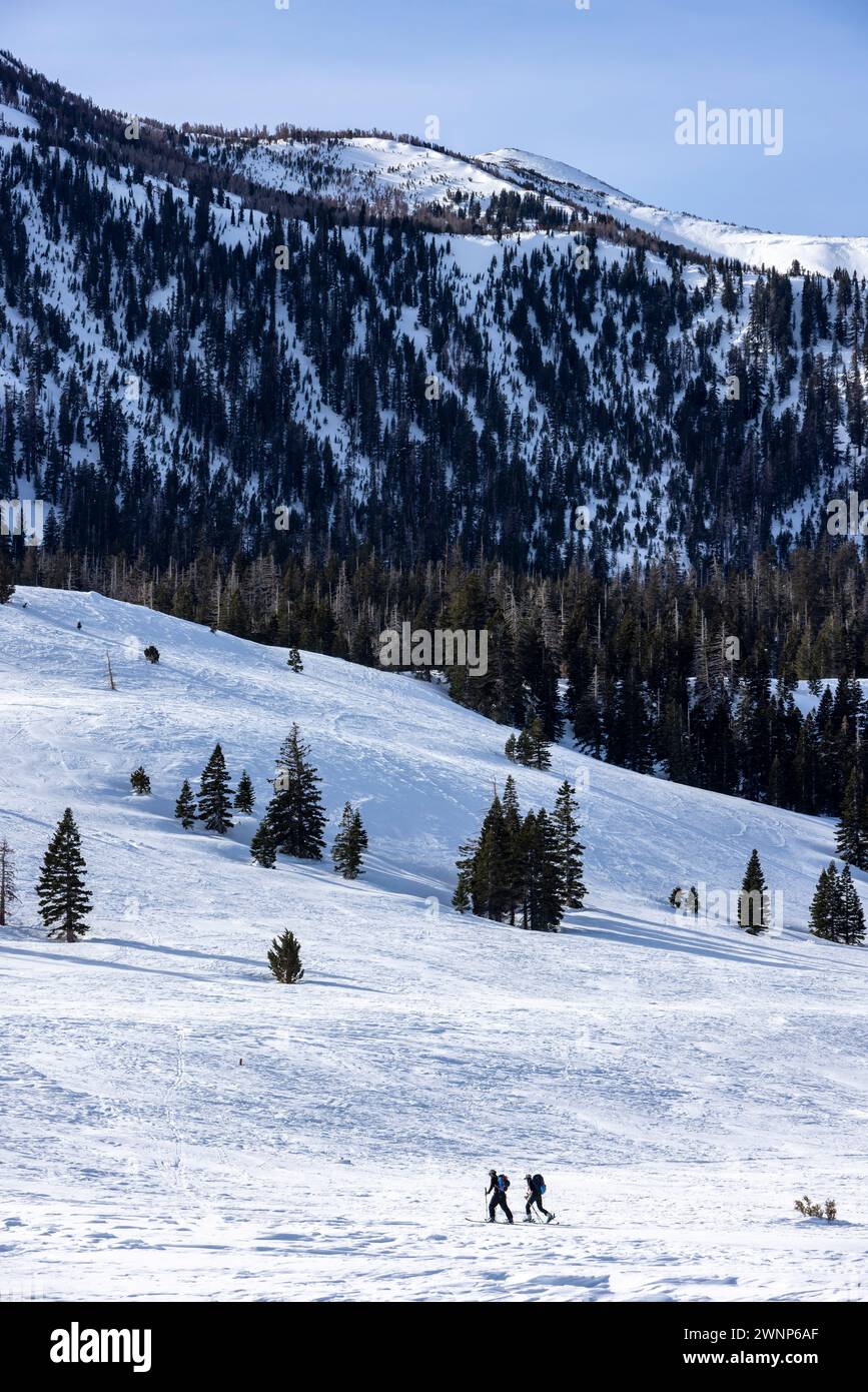 Mammoth Mountain and the town of Mammoth Lakes is a winter destination ...