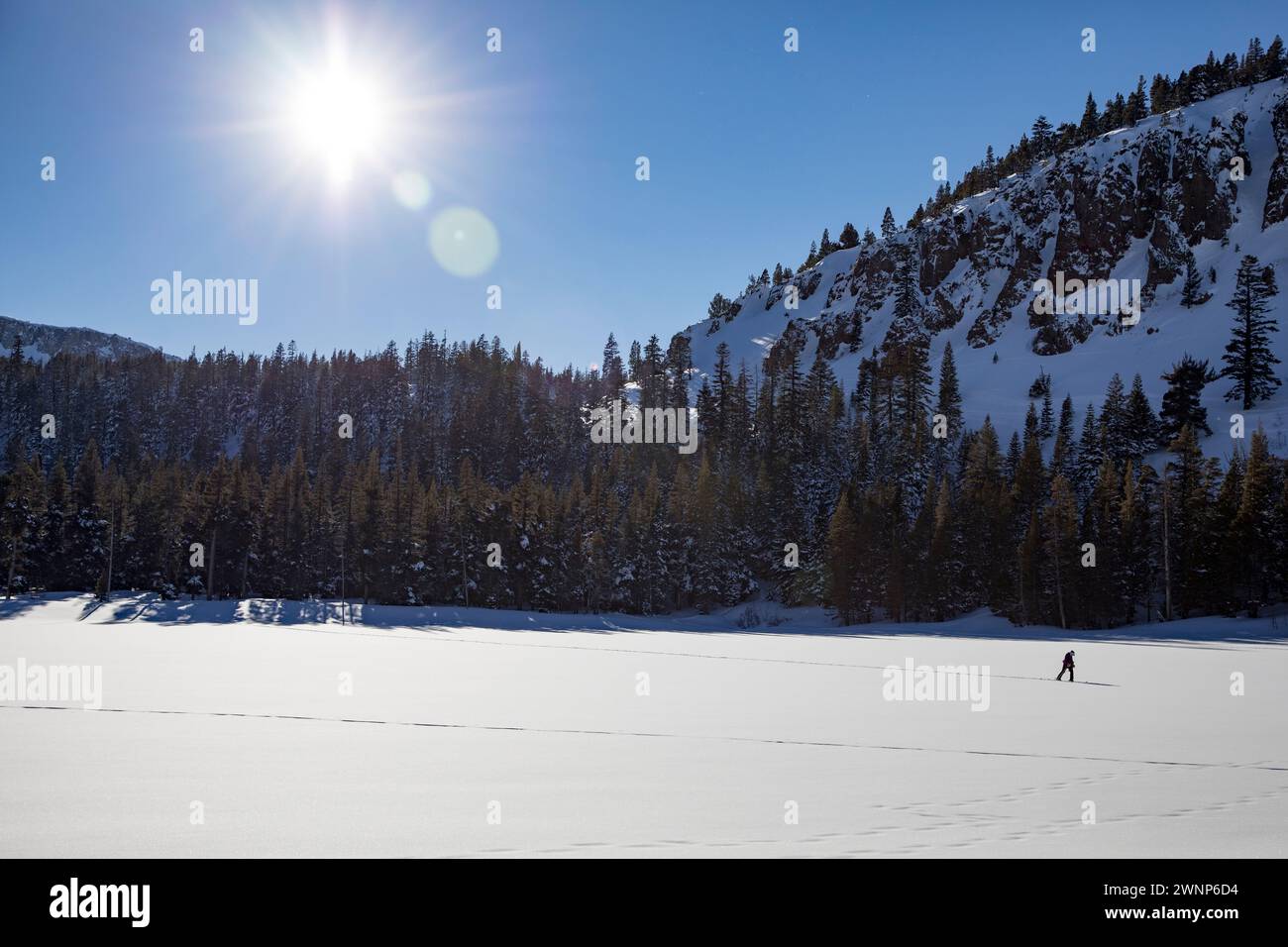 The most snow in history fell on Mammoth Lakes in the Eastern Sierras ...