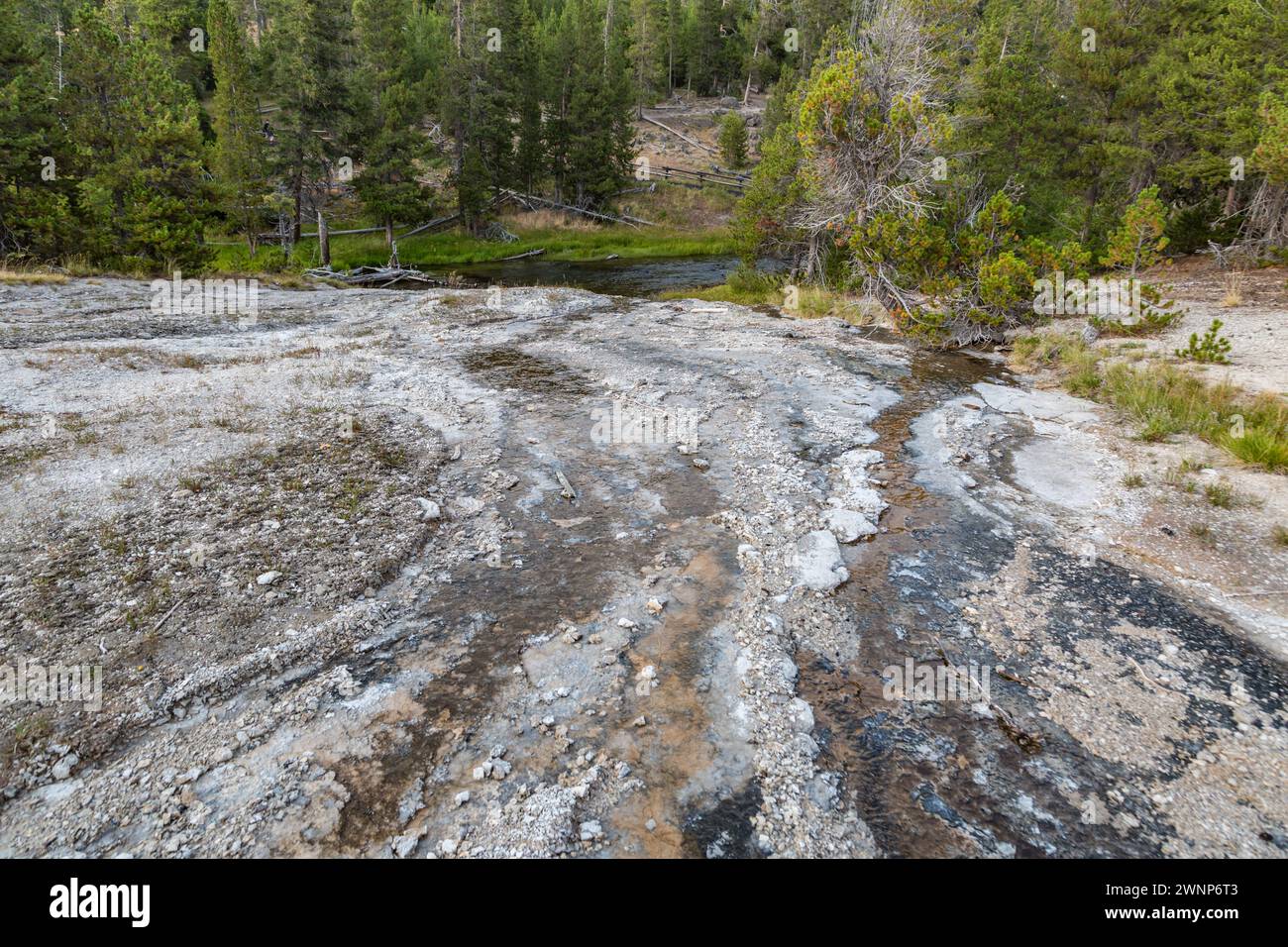 Runoff from geysers and hot springs flows into the Firehole River in ...