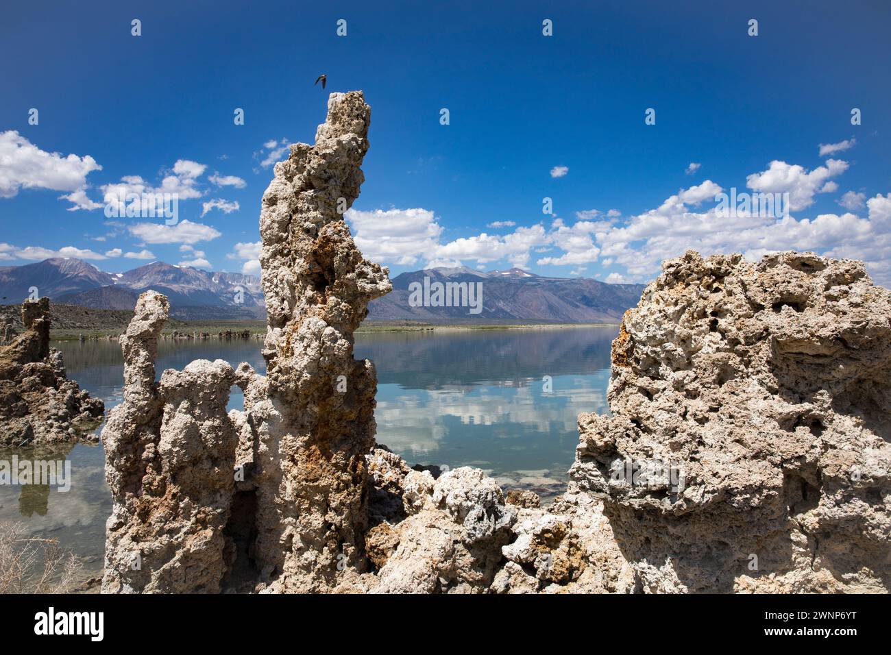 US 395 is a main highway connecting Northern California with Southern ...