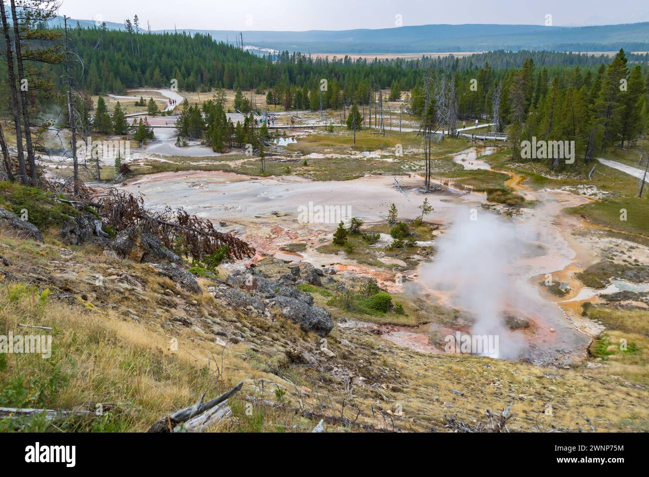 Blood Geyser and hot springs in the Artists' Paintpots area of ...