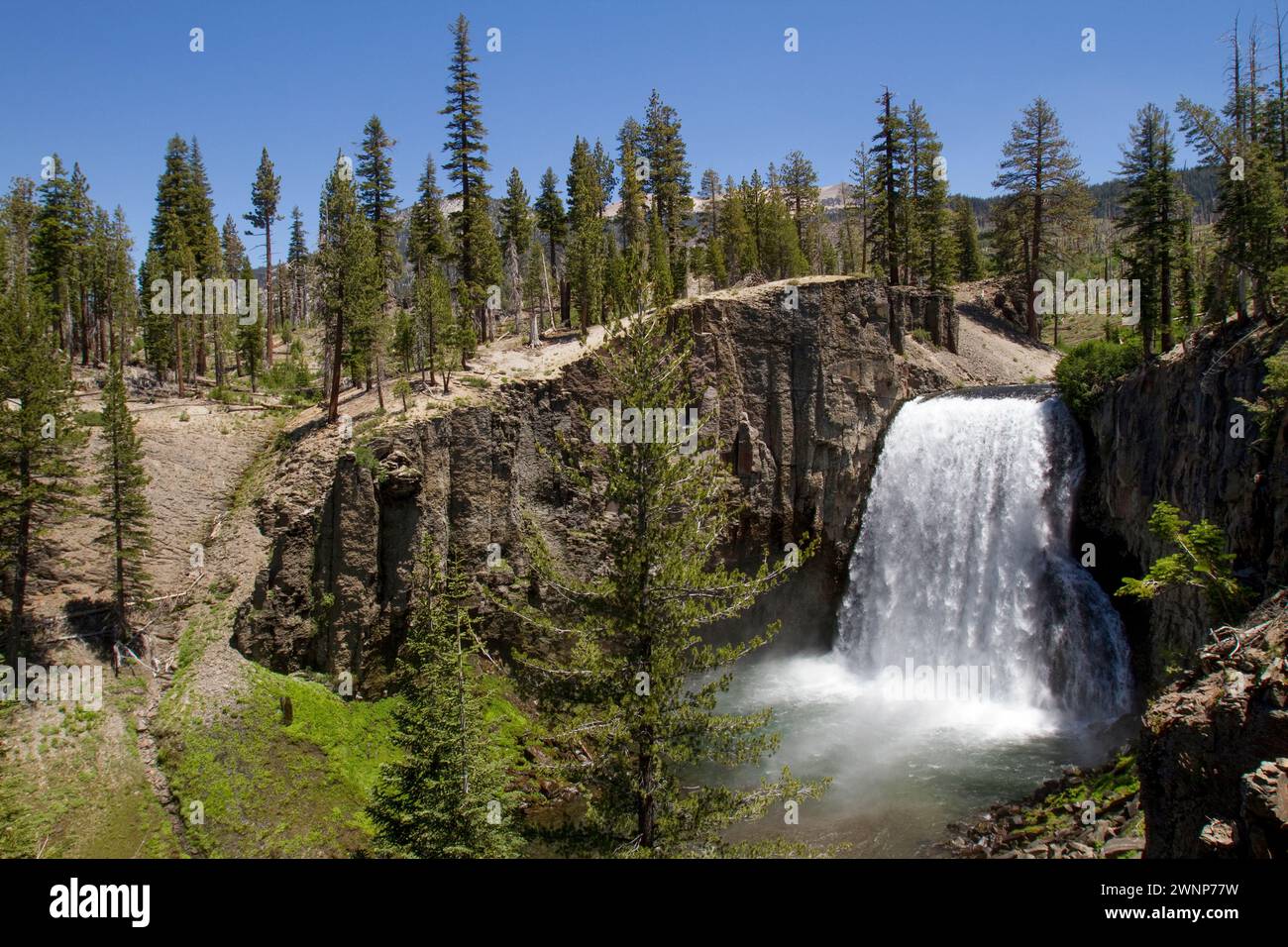Adams mammoth hi-res stock photography and images - Alamy