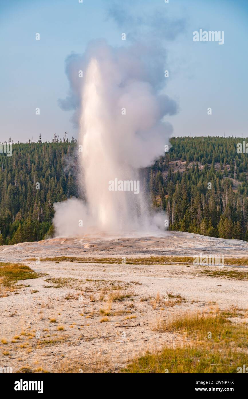 Eruption of Old Faithful cone geyser in Yellowstone National Park Stock ...