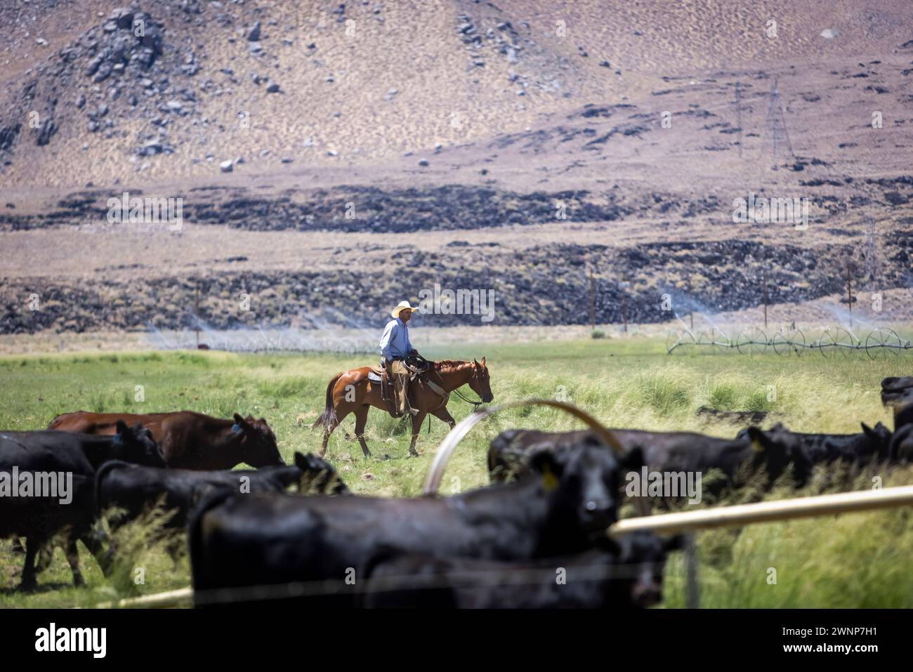 Us 395 inyo county hi-res stock photography and images - Alamy