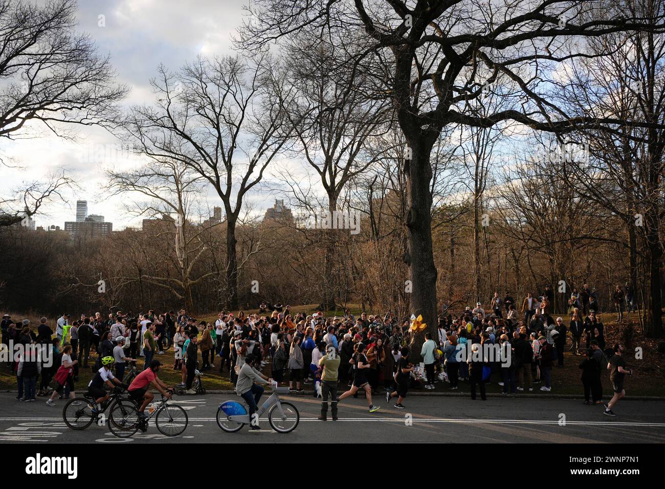 People gather for a memorial to Flaco the owl at a tree in Central Park ...