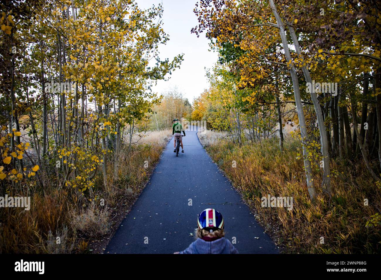 The Fall season in the Eastern Sierras is one of the most beautiful ...
