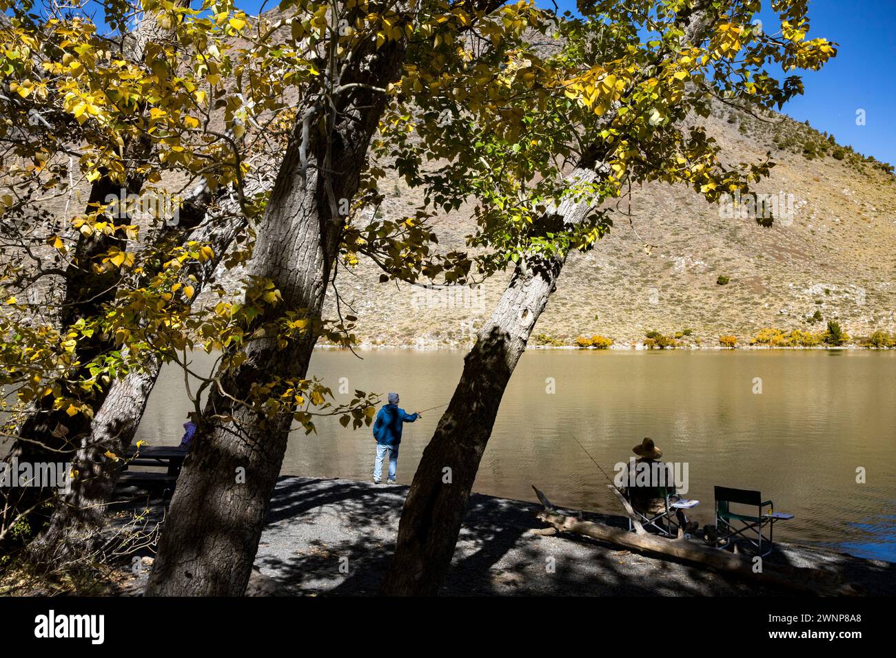 The Fall season in the Eastern Sierras is one of the most beautiful ...