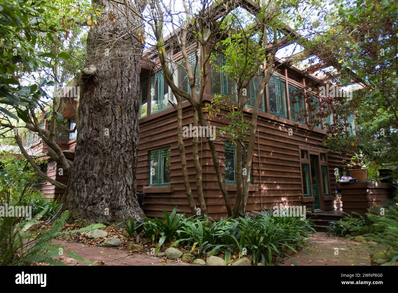 Acclaimed author TC Boyle resides in a Frank Lloyd Wright home in ...