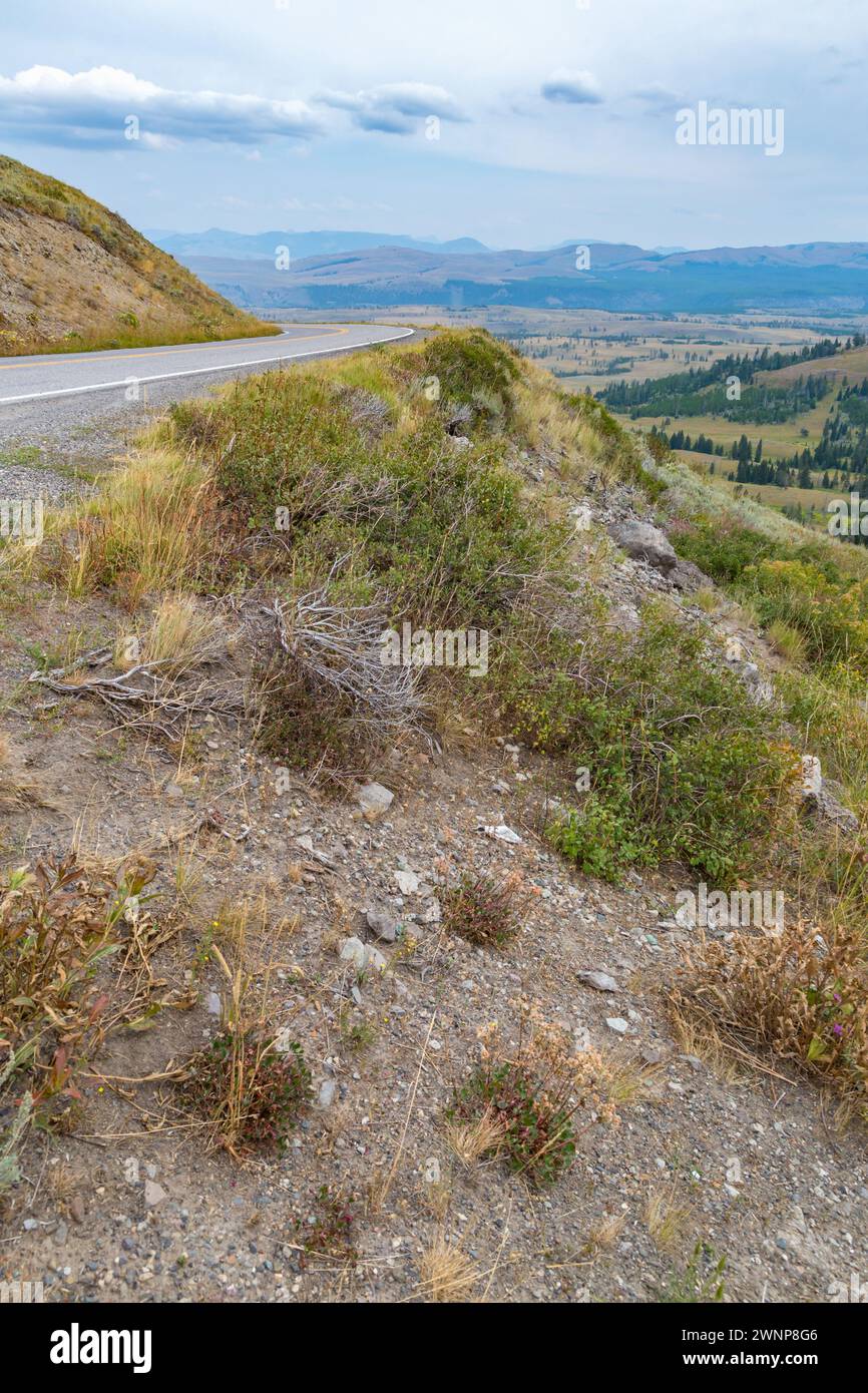 Grand Loop Road - North Loop between Canyon Village and Tower-Roosevelt ...