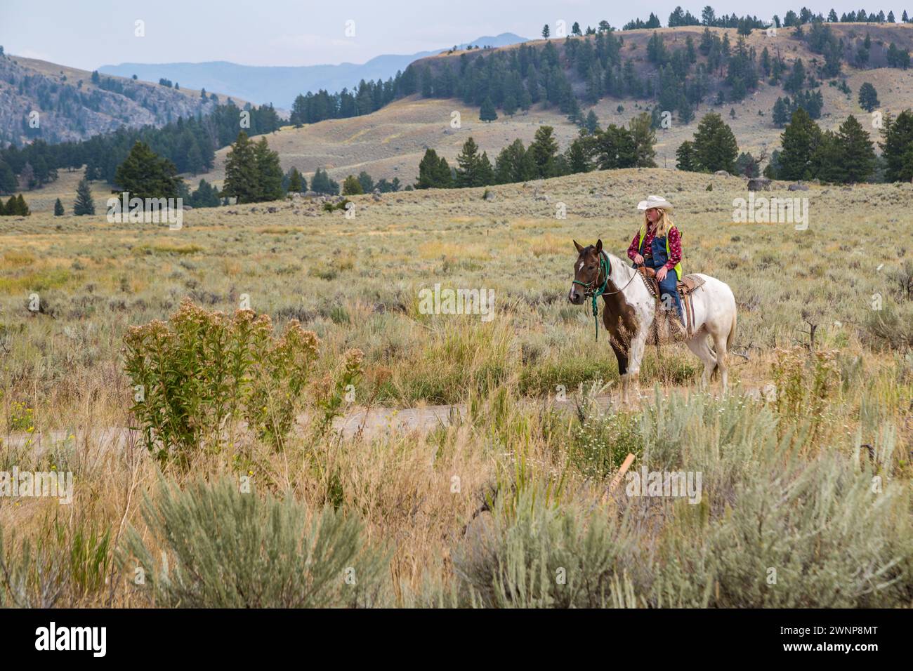 Sagebursh flats hi-res stock photography and images - Alamy
