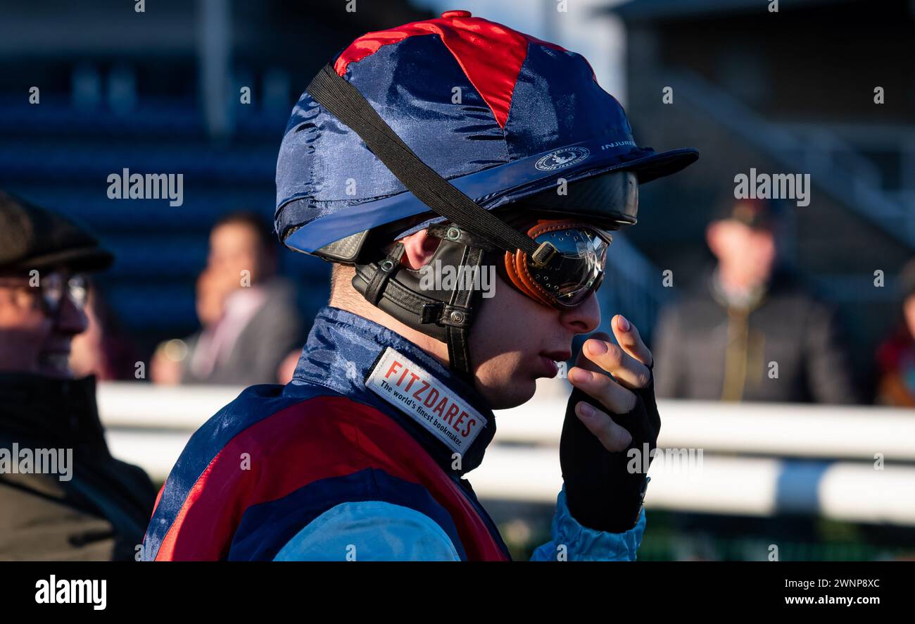 Parade day 2024 horses hi-res stock photography and images - Alamy