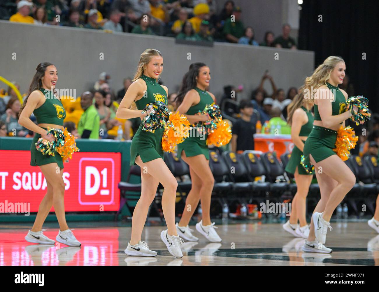 Waco, Texas, USA. 3rd Mar, 2024. Baylor Lady Bears cheerleaders during ...