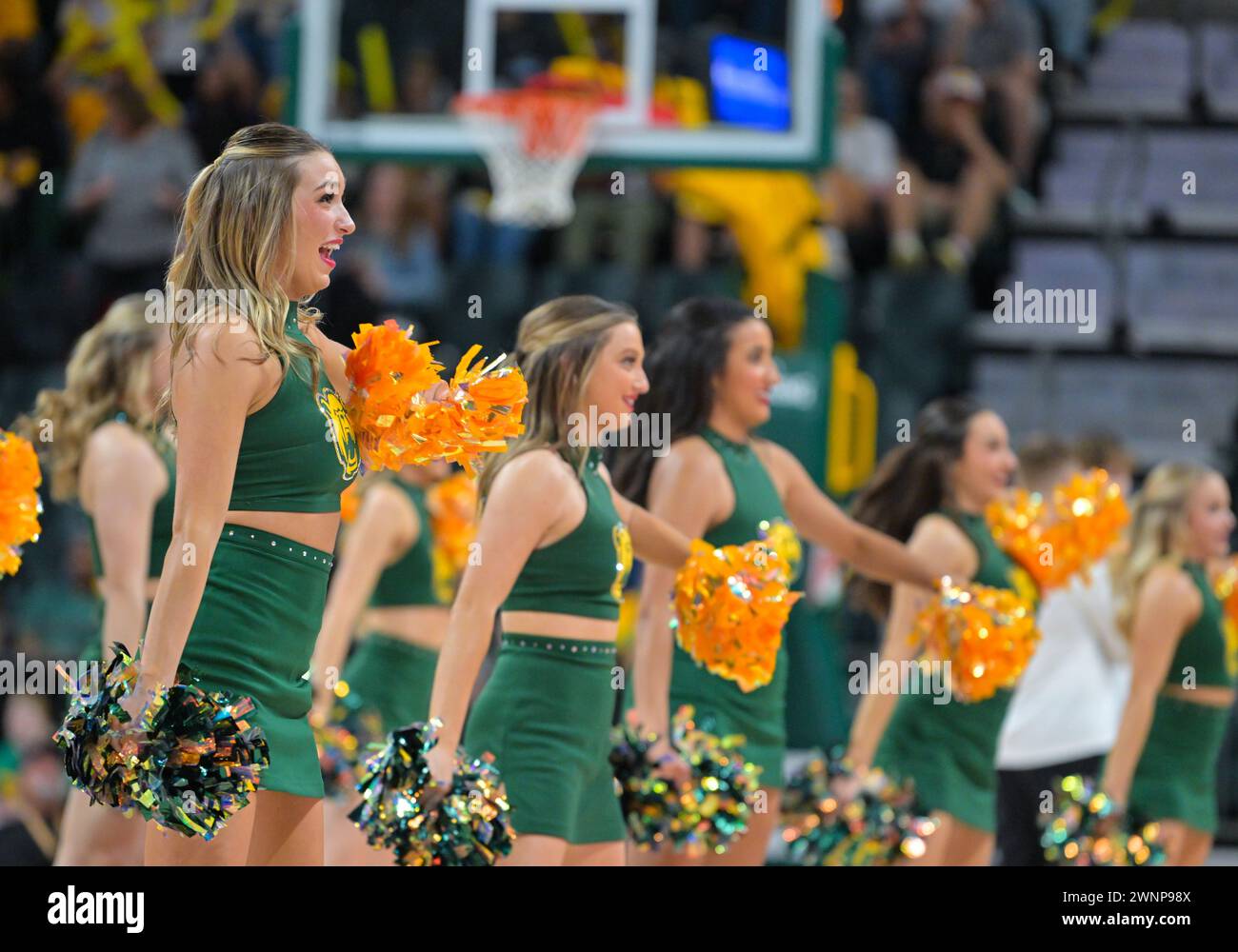 Waco, Texas, USA. 3rd Mar, 2024. Baylor Lady Bears cheerleaders during ...