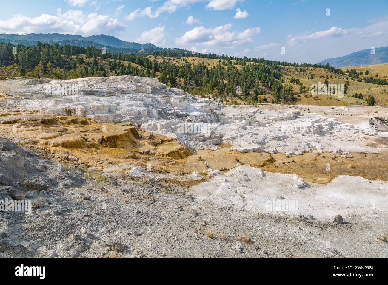 Dry terracettes of Minerva Spring behind runoff of Mound Spring in the ...